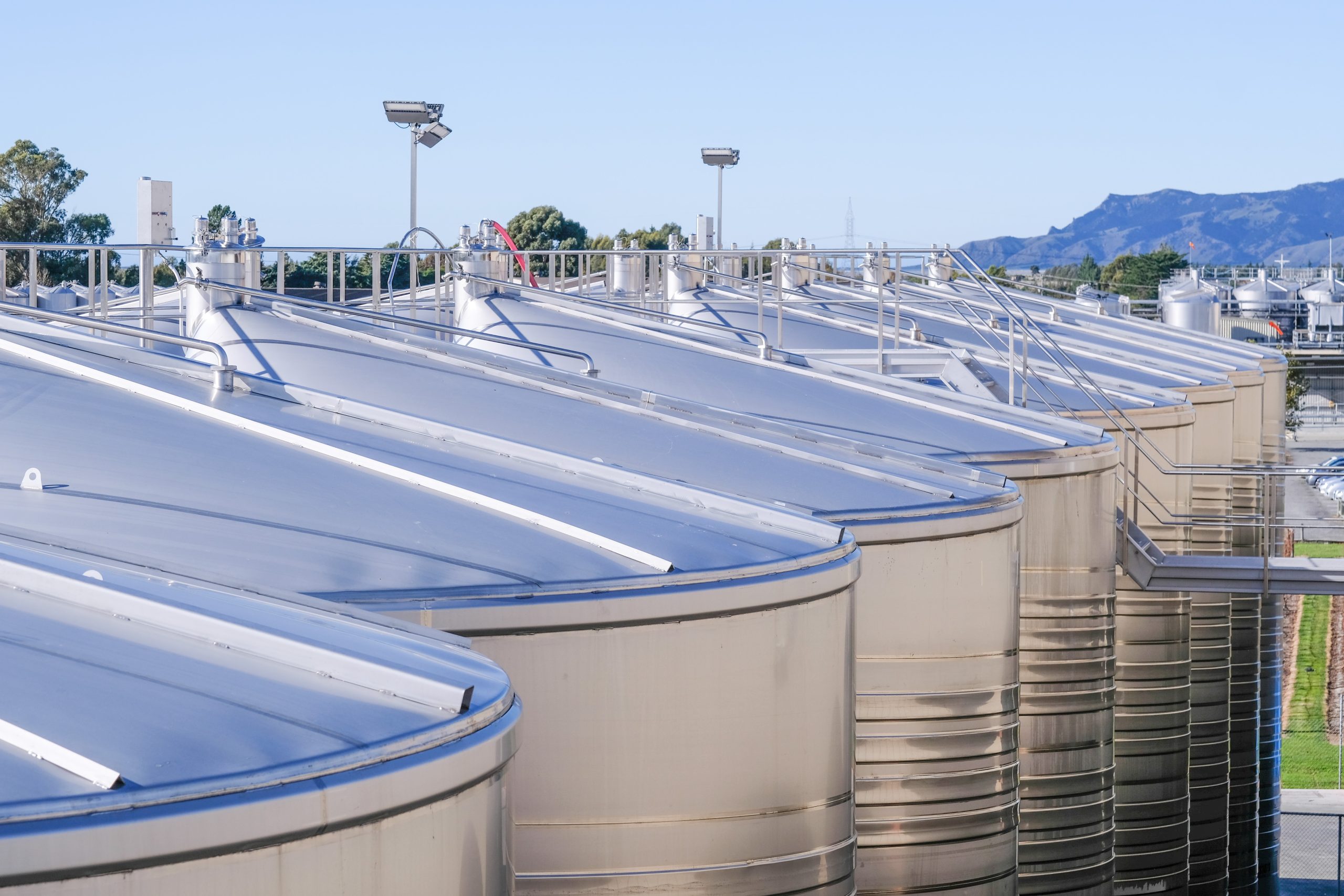 Graduate Programme – Tīra